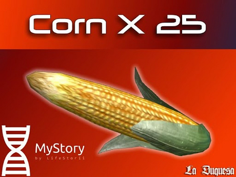Second Life Marketplace - Corn x 25 - [MyStory]